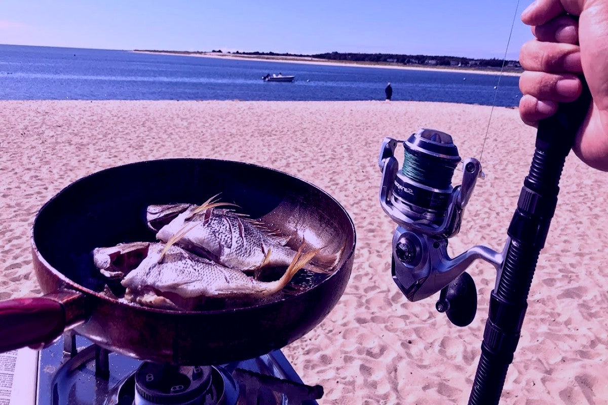 What are the best fish to catch and eat - WalleyeX®