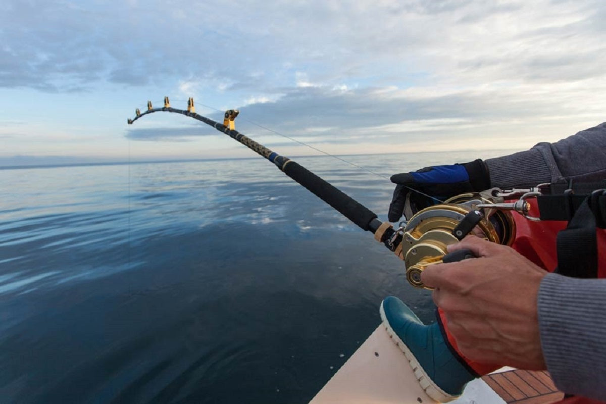 Choosing the best pole rod for fishing – WalleyeX®