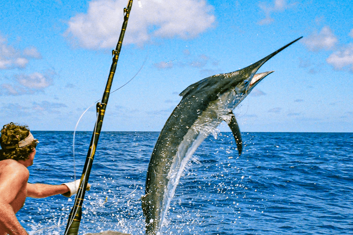 Guide to deep sea fishing for your next adventure - WalleyeX®