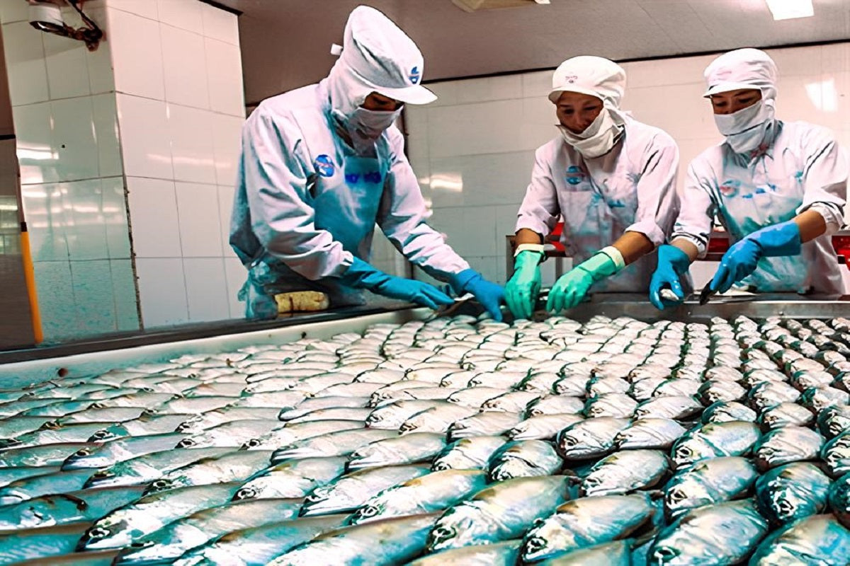 Why fishing is important to the environment and economy - WalleyeX®