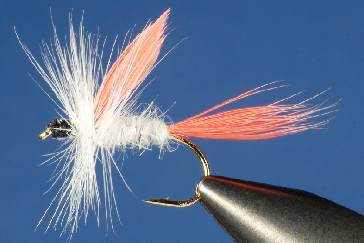 Fly Fishing: Guide for a Successful Outdoor Adventure – WalleyeX®